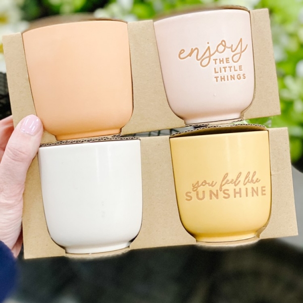 New Target Dollar Spot Spring | All Things Target